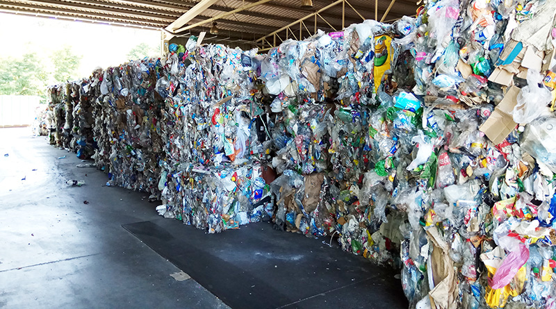 Zöld Híd – avagy a fenntarthatóság fontossága - Váci Napló Online